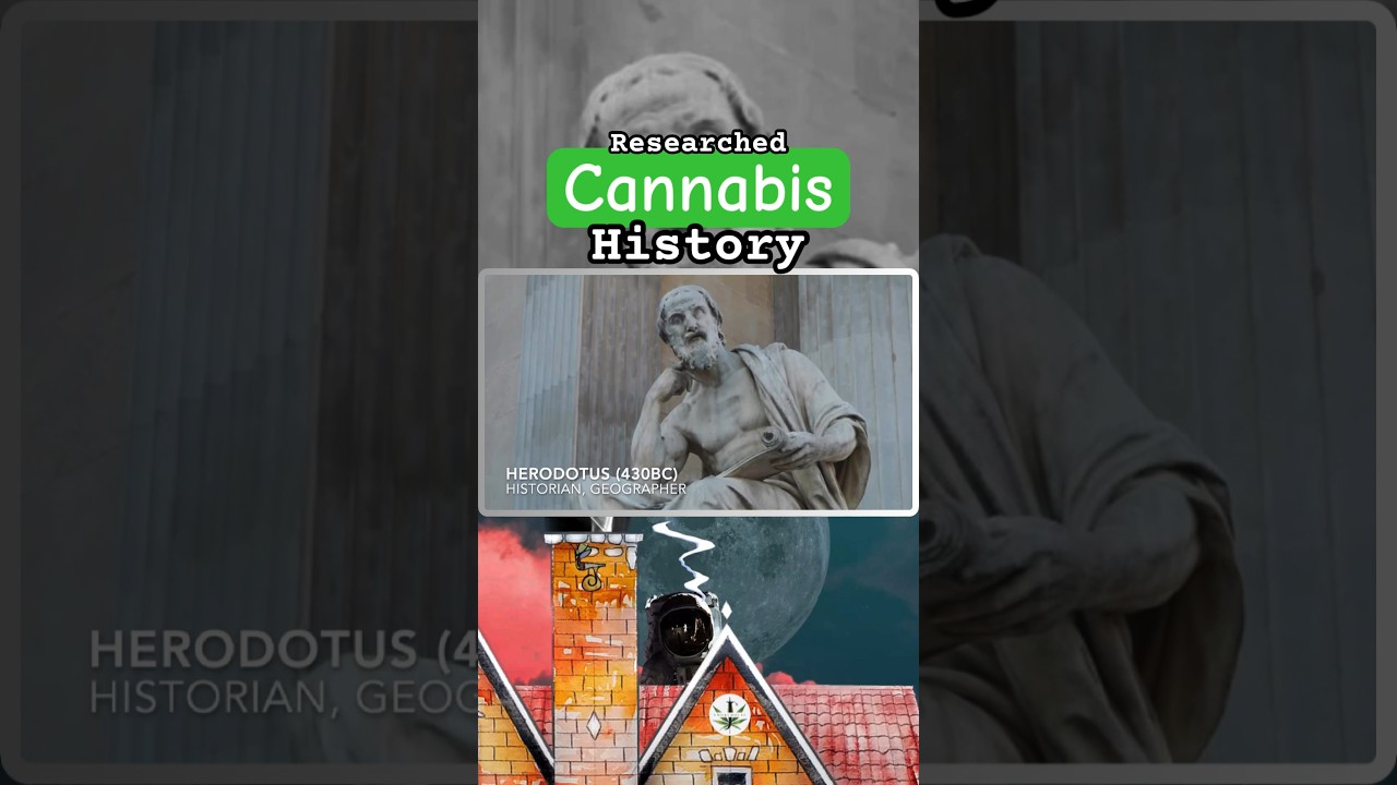 Cannabis from the Stone Age to the Present! #mj #history #maryjane