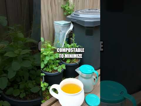 Eco-Friendly Tea Time: Sustainable Brew Tips