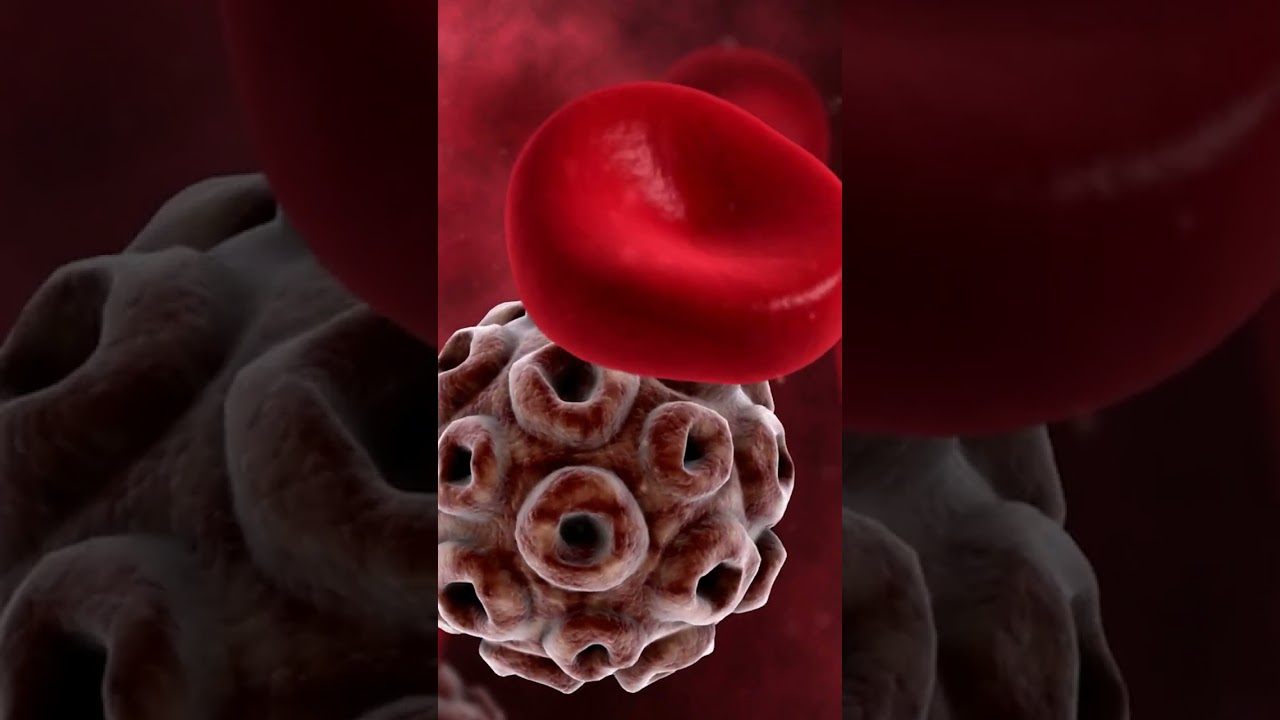 Prednisone Explained #steroids #medicine #health #inflammation #autoimmune