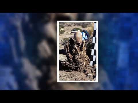 The Biggest Stroke Risk Factors. Part 1 of 3 – David Overstreet MD