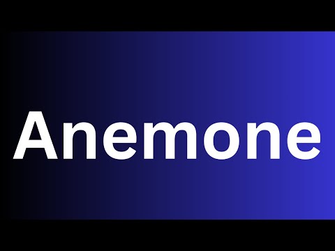 How to pronounce Anemone perfectly? How to say Anemone? How to speak Anemone?