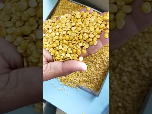 Toor Dal - 30 Kg Makkhan Toor Dal Manufacturer from Ahmedabad