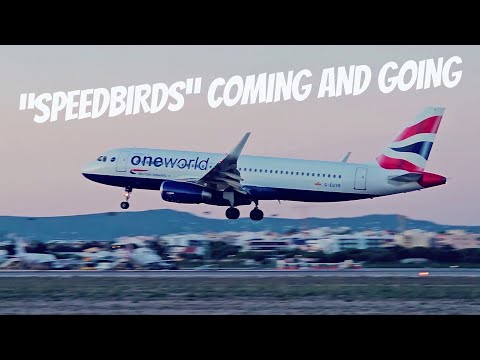 Why is British Airways callsign Speedbird? Is it because of the drugs? #aviation #planespotting