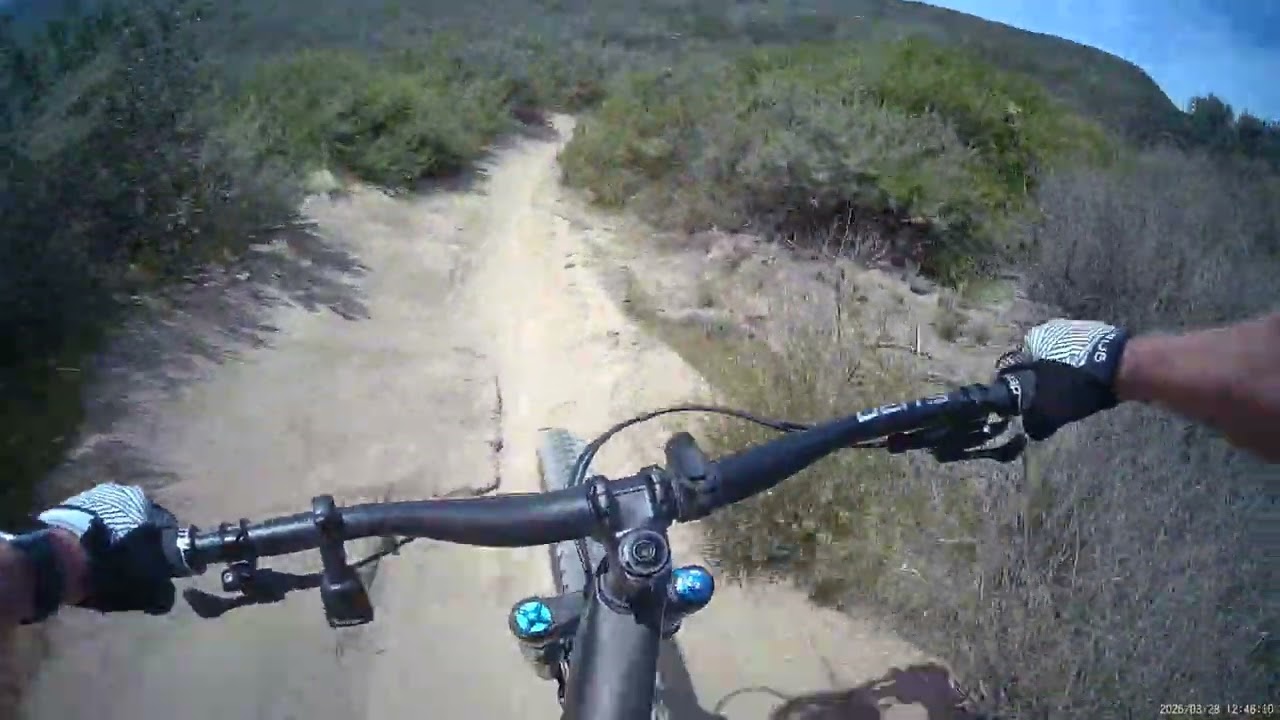 El Moro - Missing Link