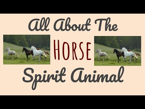 🌹🌞 THE HORSE SPIRIT 🌹🌞 Horse Spirit Animal Symbolism
