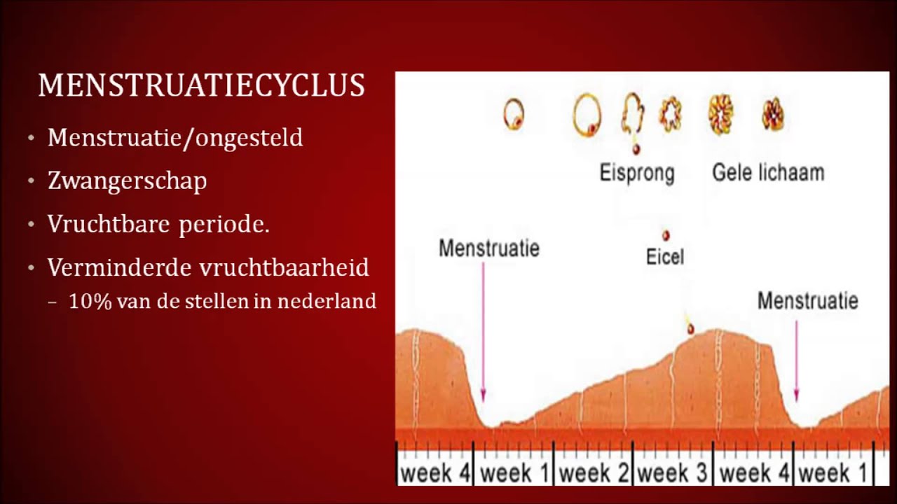 Voortplanting en ontwikkeling basisstof 4 5