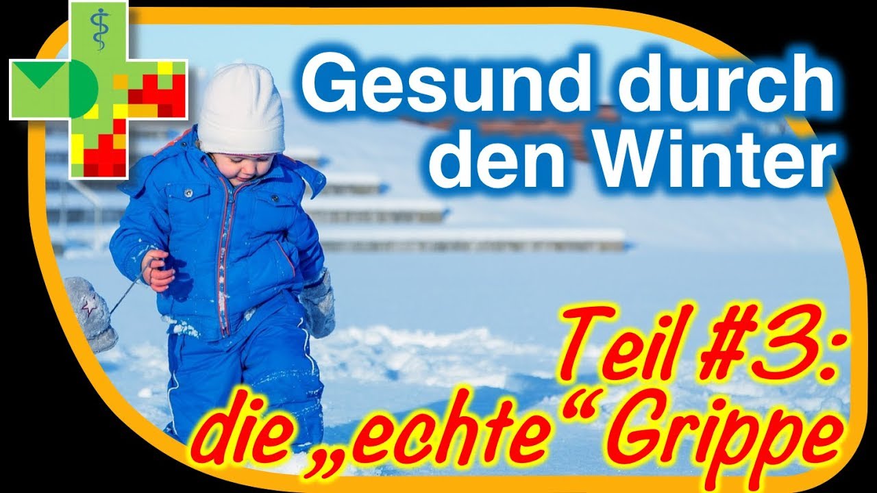 Grippe Symptome Behandlung Vorbeugung Wie gefährlich ist die Grippe?