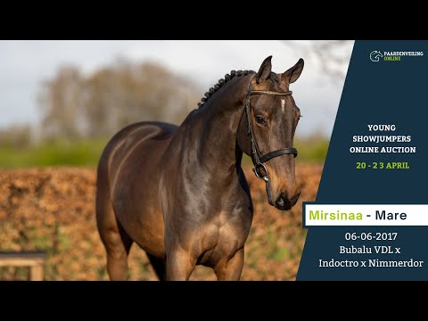 Mirsinaa - Young Showjumpers Online Auction - Paardenveilingonline.com