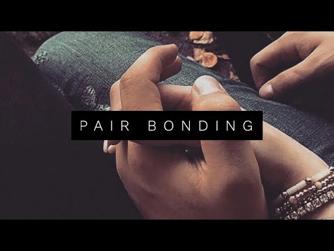 Pair Bonding: A Conversation