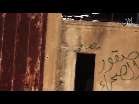 Middle-East: Islamic State group on the defensive - is this the beginning of the end for ISIS?