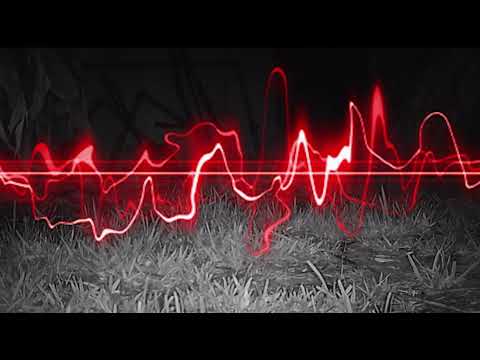 Coyote Audible Alarm Deterrent