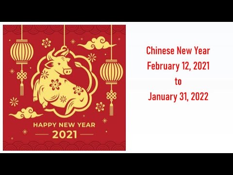 Chinese Zodiac Forecast for 2021: Year of The Ox