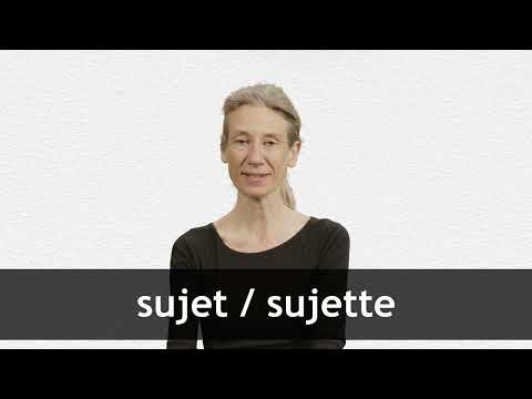 English Translation of “SUJET” | Collins French-English Dictionary
