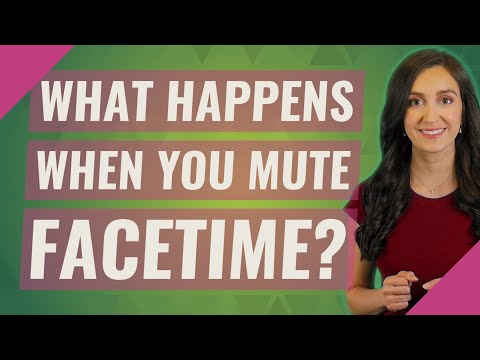 What happens when you mute FaceTime?