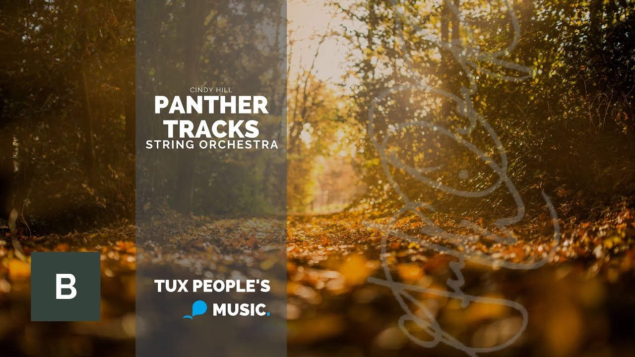Panther Tracks (String Orchestra) - Cindy Hill