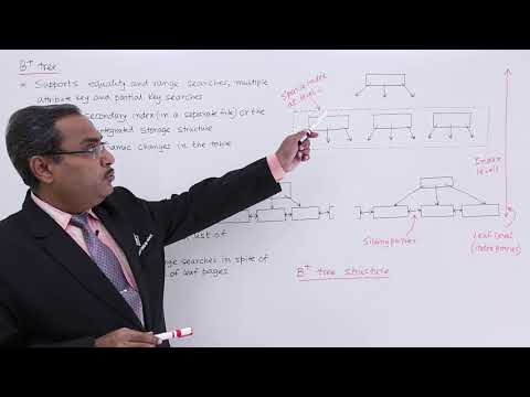 DBMS - B+ Tree