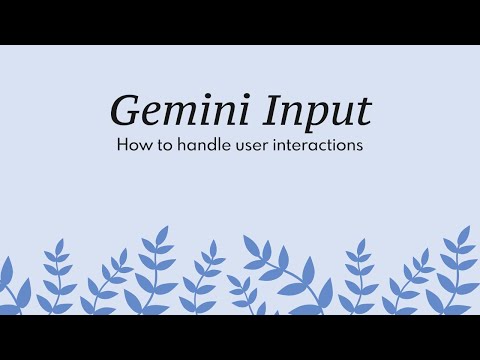 Gemini Input