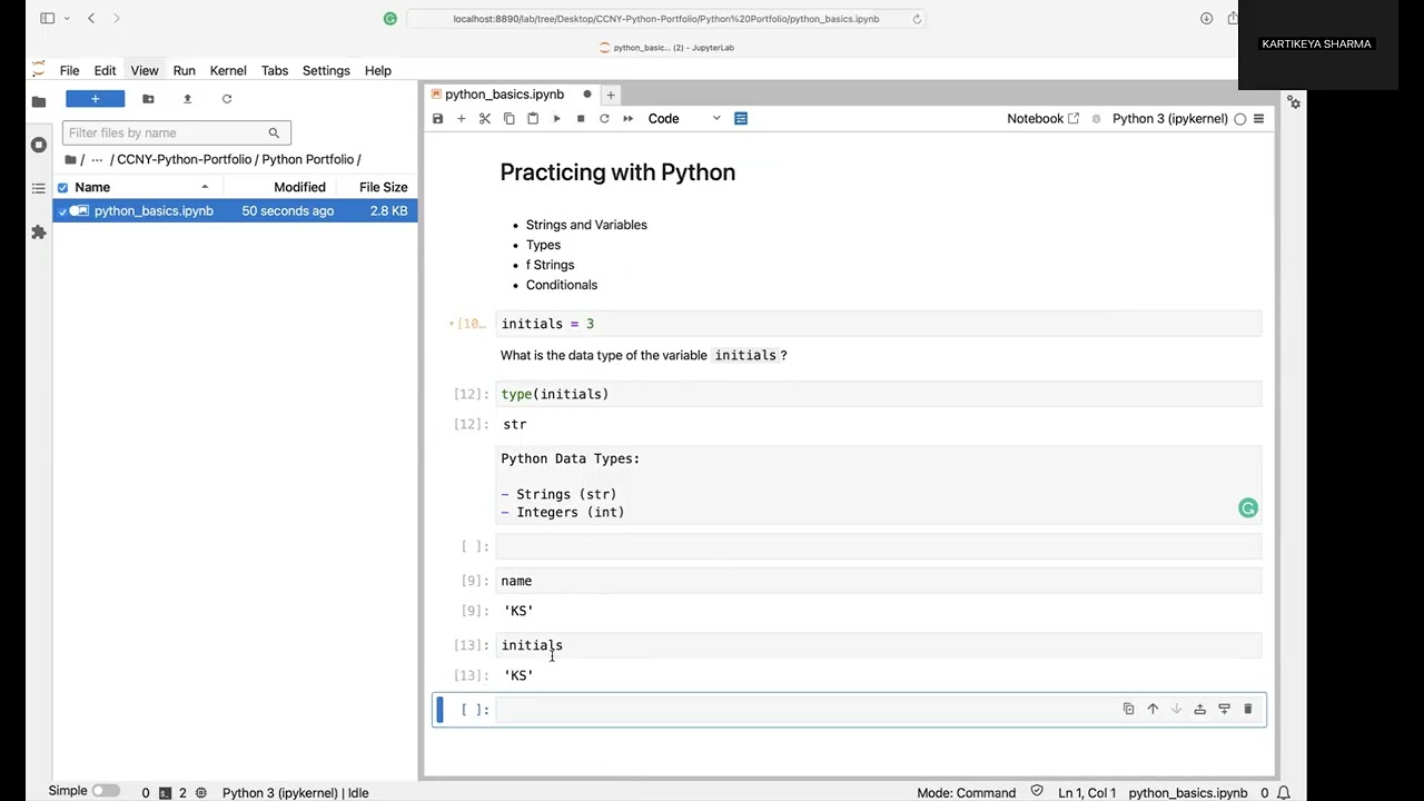 Writing Python Code (Part 1): Strings, Variables, and Data Types for Data Science