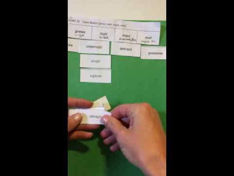 DR sort 32 Latin roots gress rupt tract mot