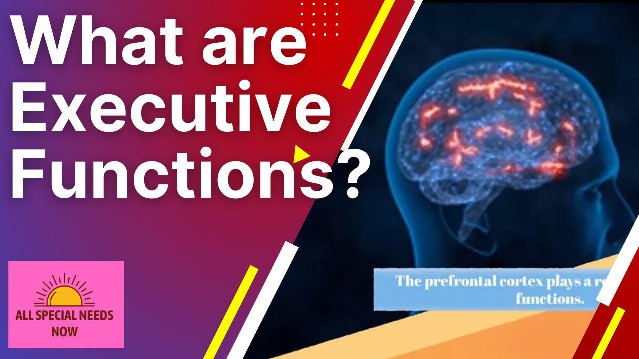 What are Executive Functions?