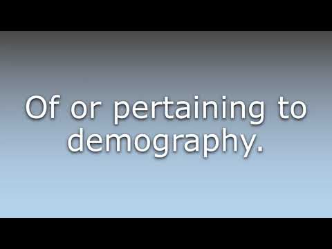 What does Demographic mean?