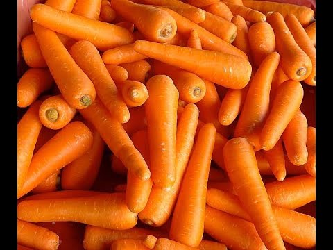 Beta-Carotene 101 - What is Beta-Carotene?