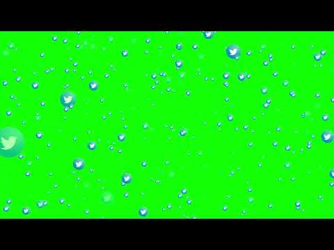 Twitter Logo Flying | 4K Green Screen Background Video | Free Download