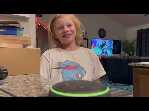 I Get Funny Answers From Alexa