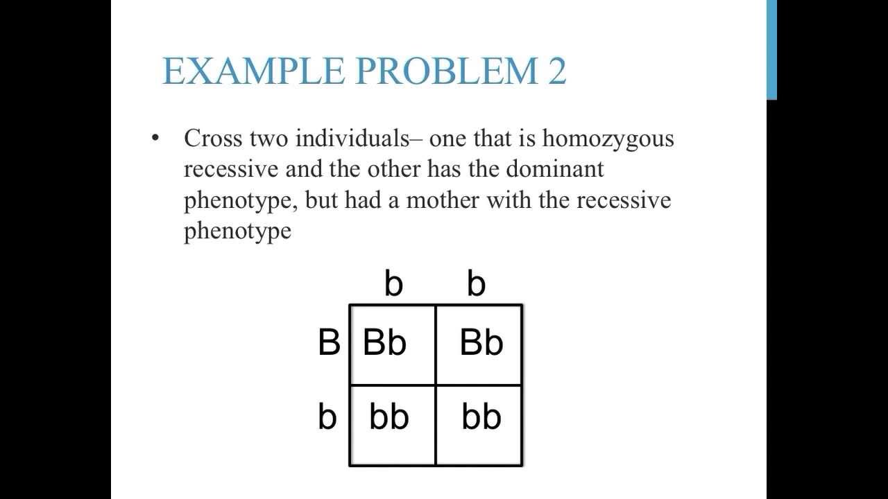 Punnett square practice problems (simple)