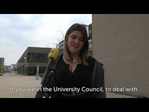 Elections are coming up! What is the university council?