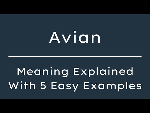 Avian Meaning in English, Definition of Avian, Meaning of Avian With Examples
