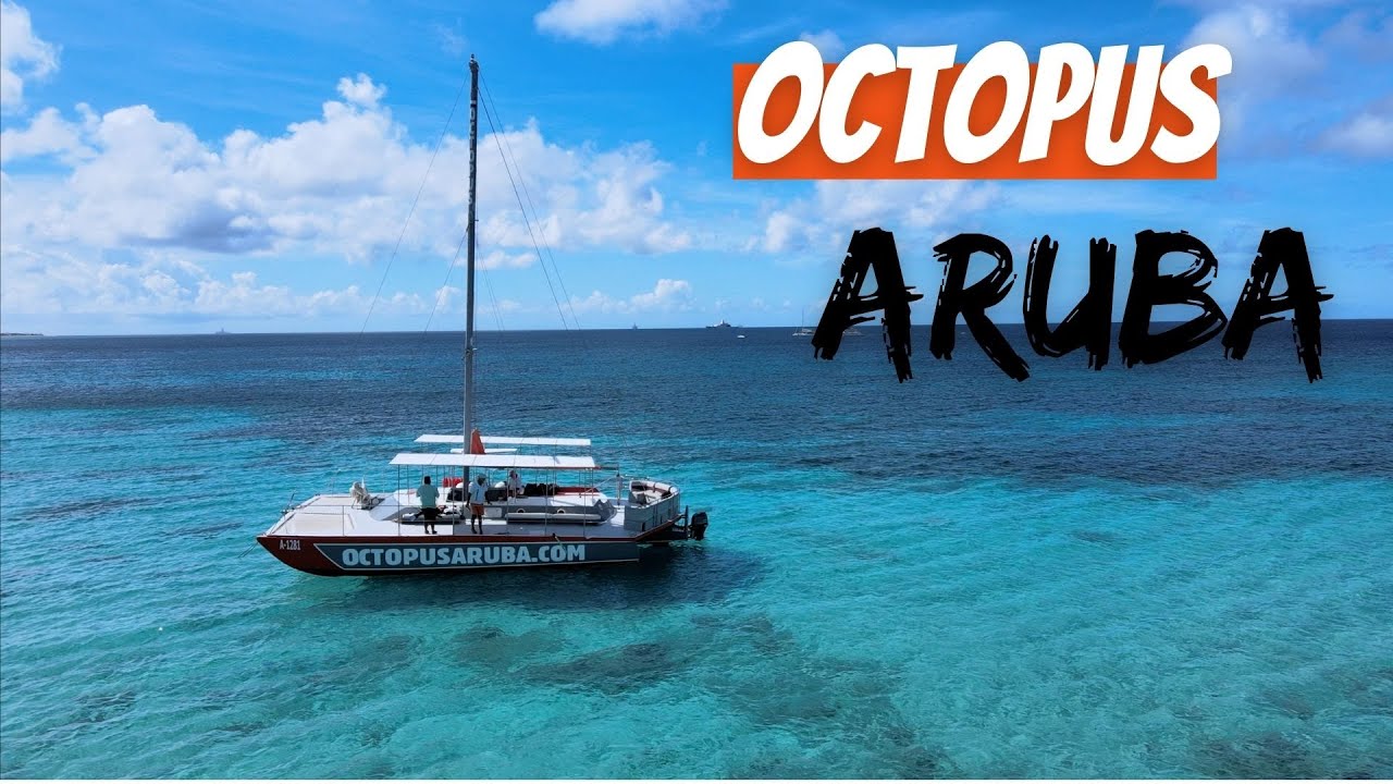 Octopus Aruba | Snorkeling in the bluest Water EVER | #Aruba 🏝