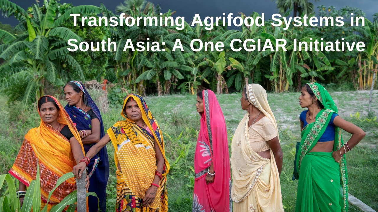 Transforming Agrifood Systems in South Asia: A One CGIAR Initiative