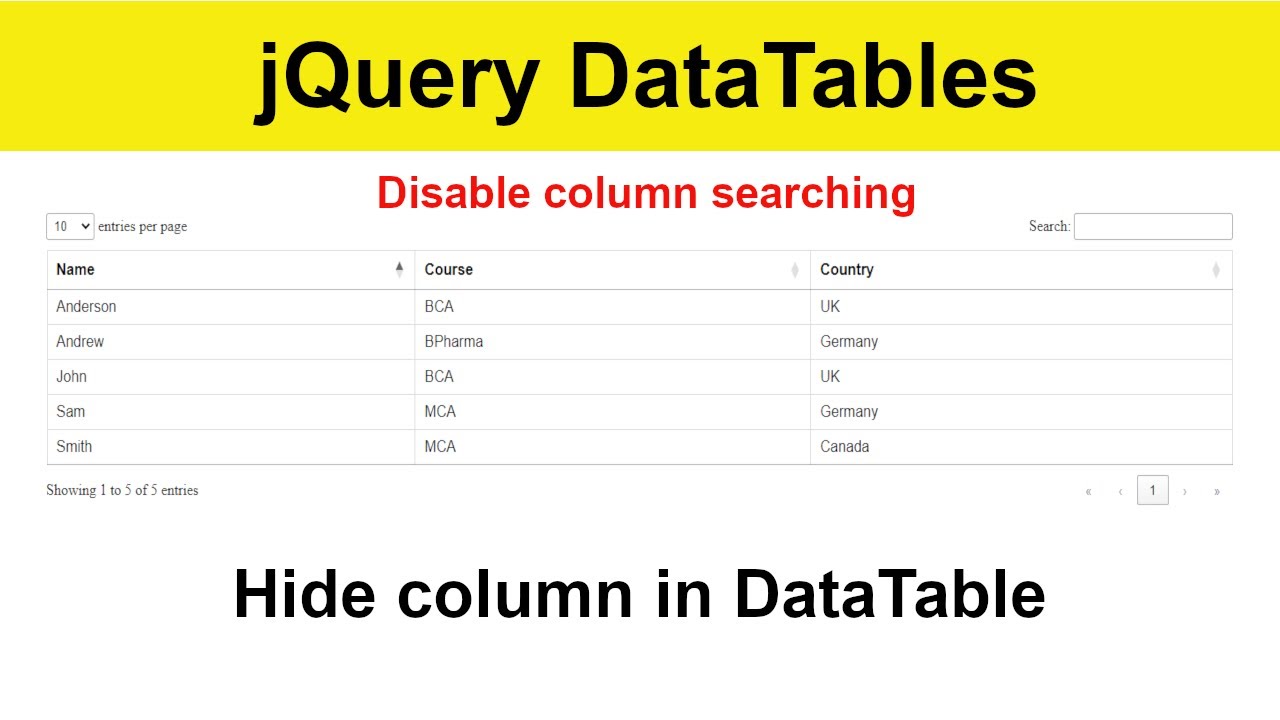 07 - How to hide column in DataTable with Source Code || jQuery DataTable example