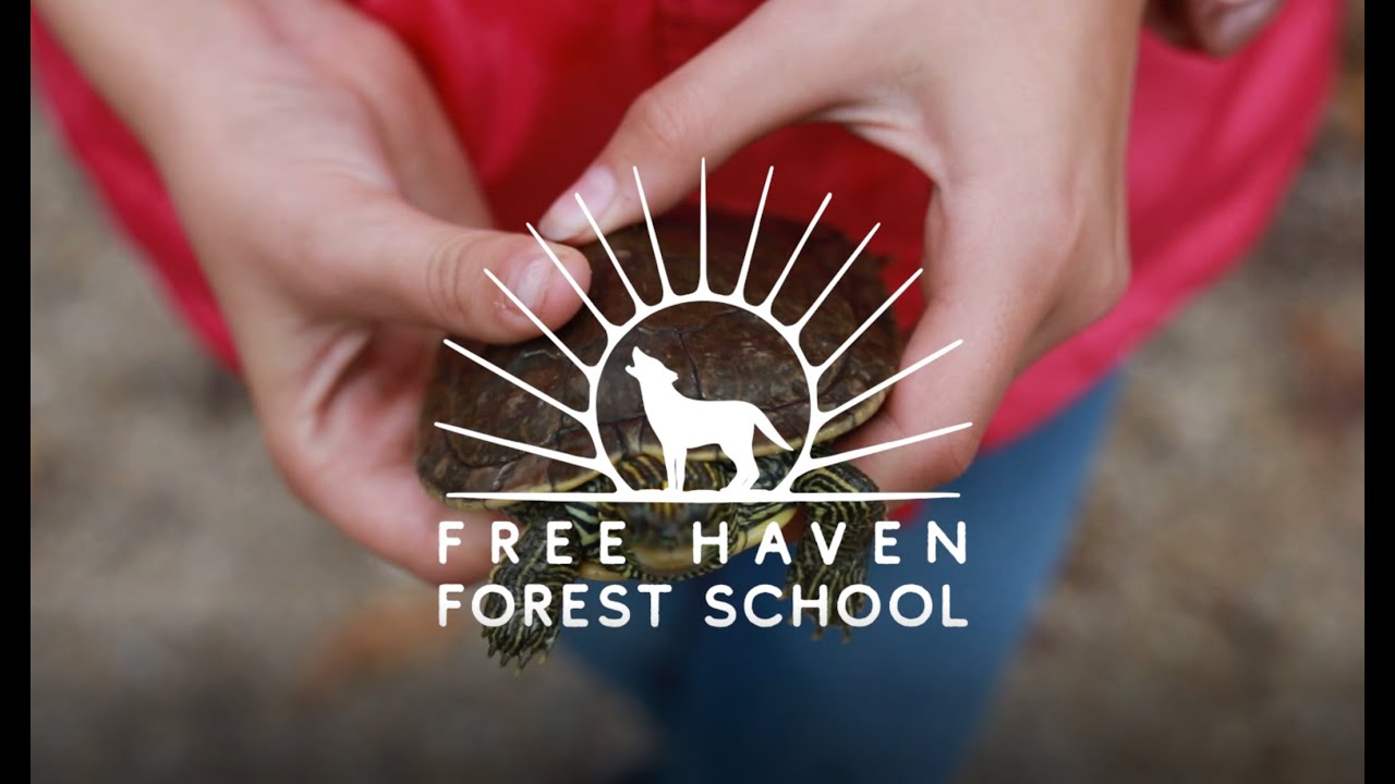 Save Our School