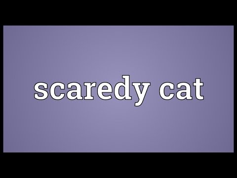 Scaredy cat Meaning