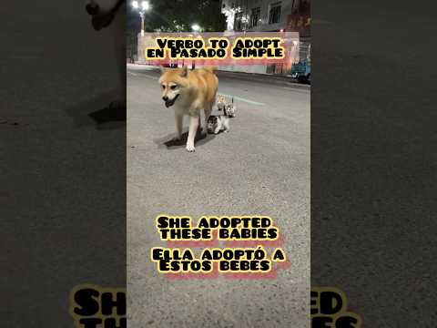Verbo "to adopt" (adoptar) en Pasado Simple en Inglés.