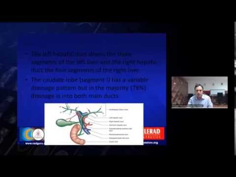 Radiology teaching on Biliary Imaging Techniques