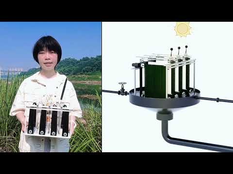 People's Choice Award 2024 - China
