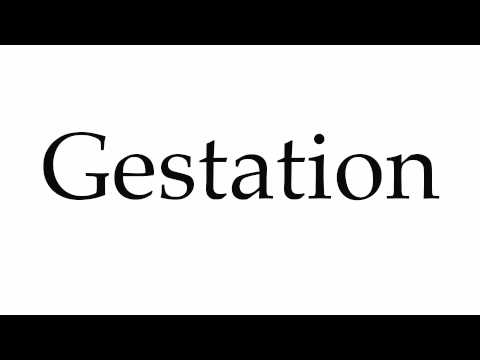How to Pronounce Gestation
