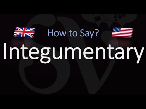 How to Pronounce Integumentary System? (CORRECTLY) Meaning & Pronunciation
