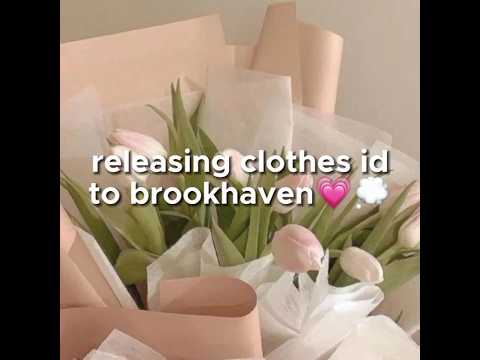 clothing id is brookhaven accessories π