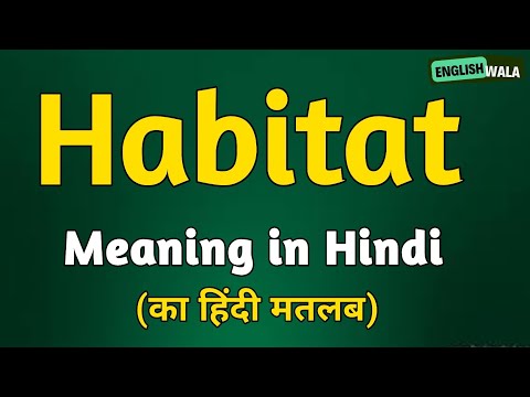 Habitat meaning in hindi | Habitat matlab kya hota hai | Habitat explained