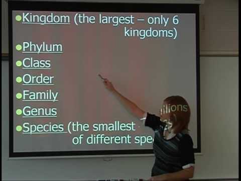 Biology - Classification (How it Relates to Biology)
