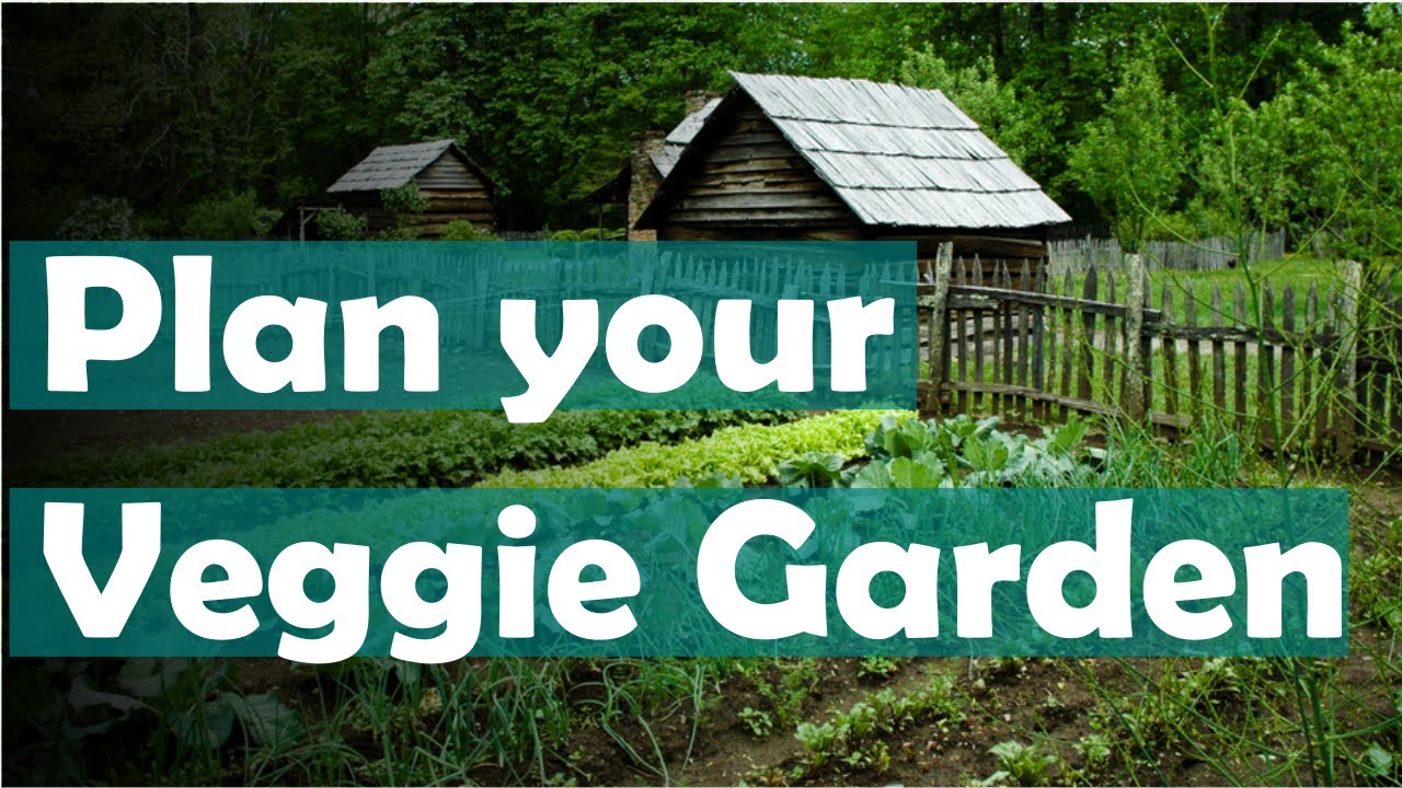 How to plan a vegetable garden design your best garden layout