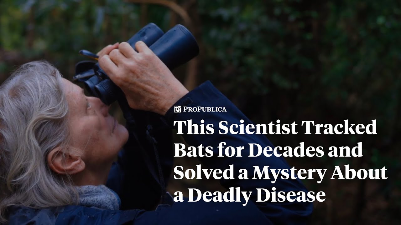 This Scientist Tracked Bats for Decades and Solved a Mystery About a Deadly Disease