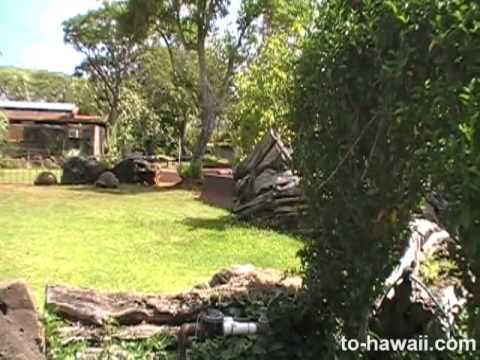 Honolulu Zoo, Oahu