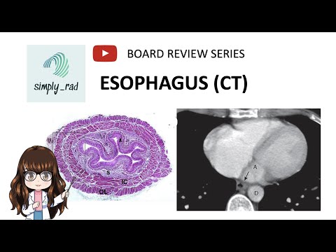 GIT - esophagus (CT board review)