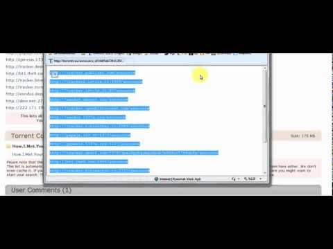 How to add torrent trackers and accelerate your speed