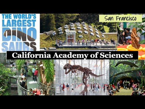 California Academy of Sciences in San Francisco